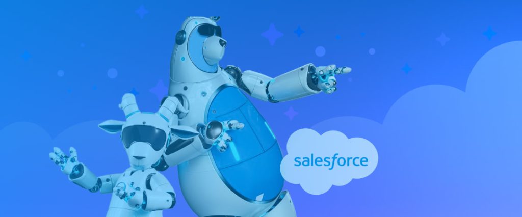 Understanding the Salesforce Release Cycle